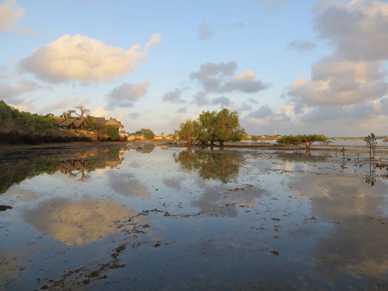 Impression of Wasini Island | Wasini Island's Travel, Tour ...